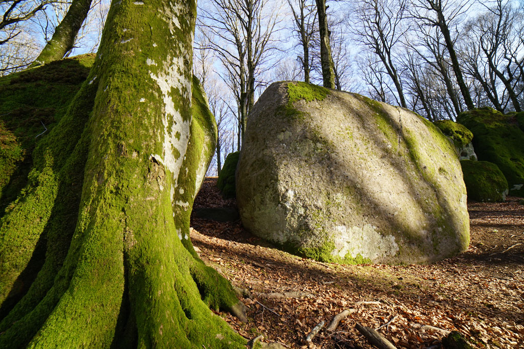 Monte Cimino (versante Nord)