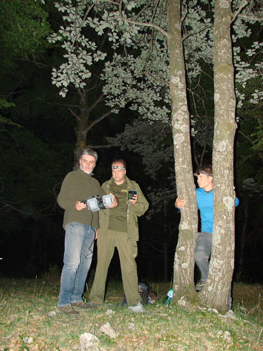 Attività di Wolf-Howling nell’area della Riserva Naturale dei Laghi ...